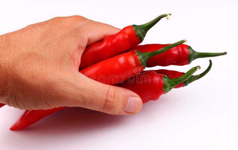 Red Hot Chili Pepper in Hand Isolate Stock Image - Image of spice, burn ...