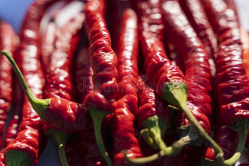 Red Hot Chili Pepper Pods Close-up Stock Photo - Image of chili, eating ...