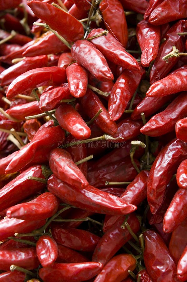 Red chili stock image. Image of spice, harvest, herbs - 14336035