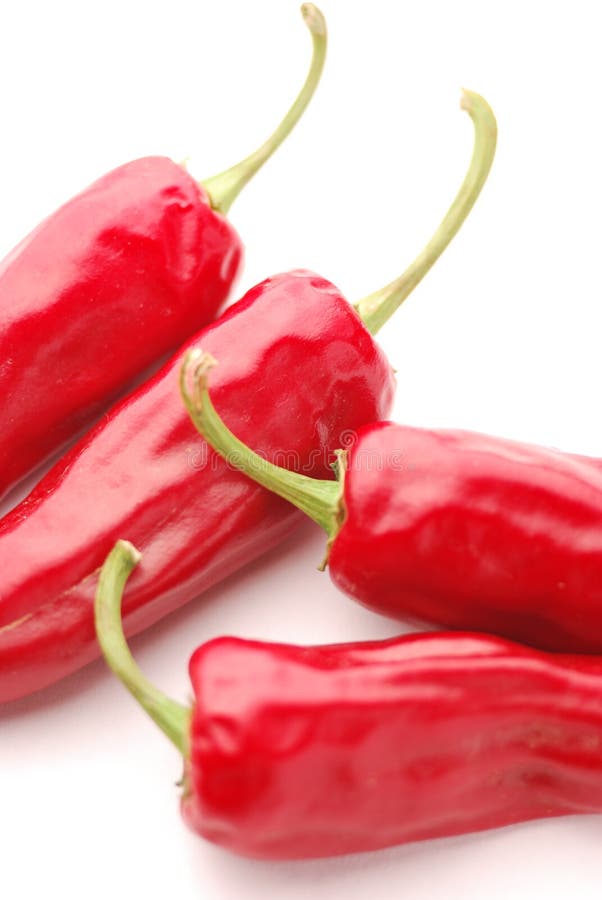 Red chilli peppers stock photo. Image of color, chilies - 232336