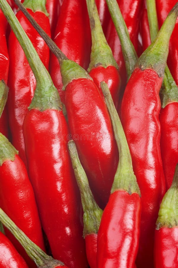 Red-hot chili peppers stock photo. Image of spices, peppers - 523132