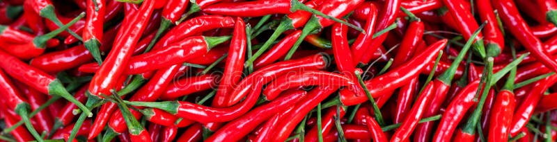 Red Hot Chili Peppers - Banner Texture Image Stock Image - Image of ...