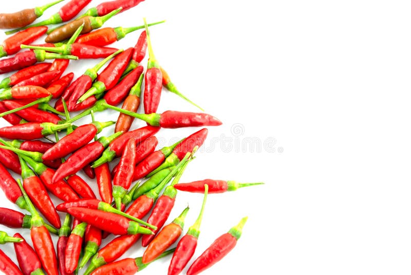 4,090 Chili Border Stock Photos - Free & Royalty-Free Stock Photos from ...