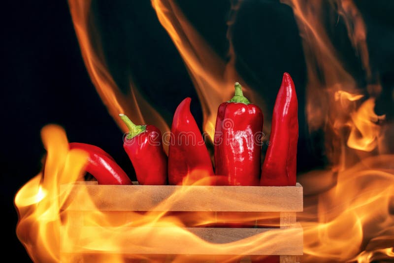 Red Hot Chili Peppers on Fire, Concept Stock Photo - Image of hell ...