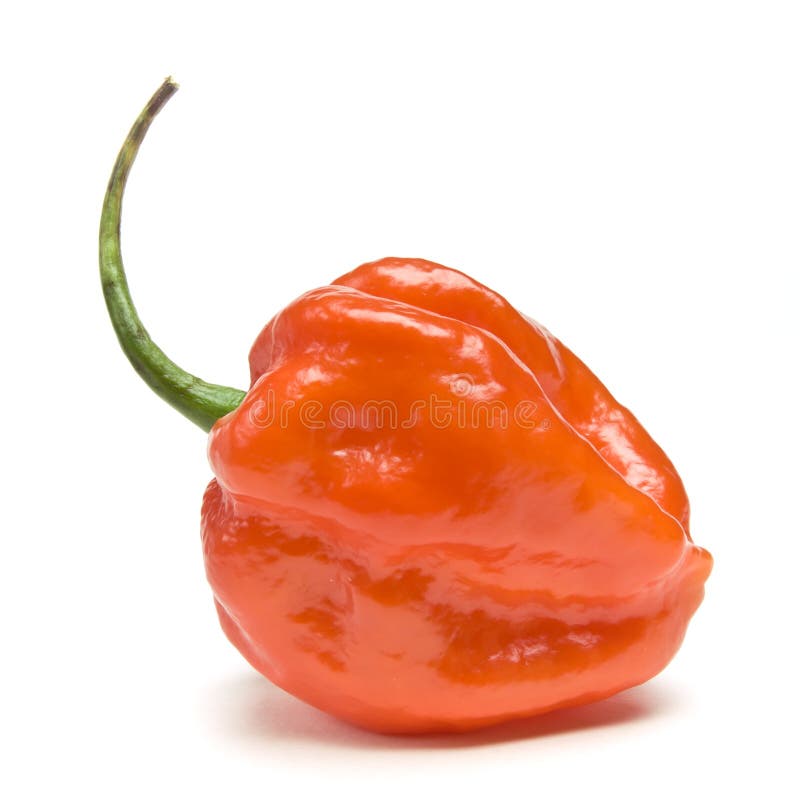 Red Hot Chilli stock photo. Image of fiery, edible, caribbean - 15060880