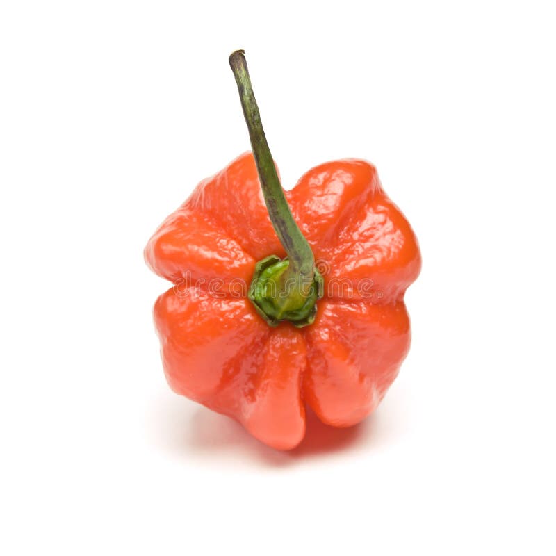 Red Hot Chilli stock image. Image of edible, fiery, green - 15060885