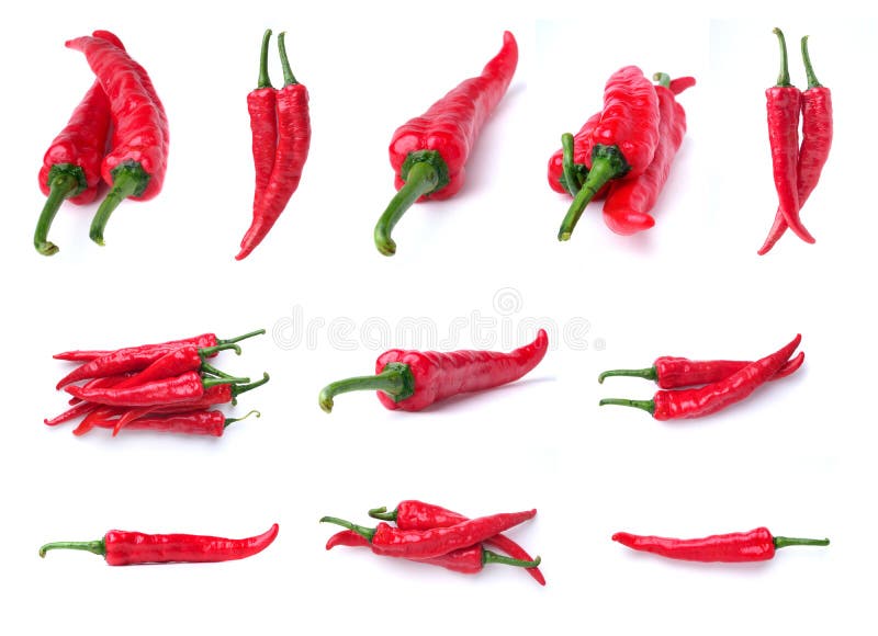 Red hot chilli stock photo. Image of pepper, chillis - 15766260