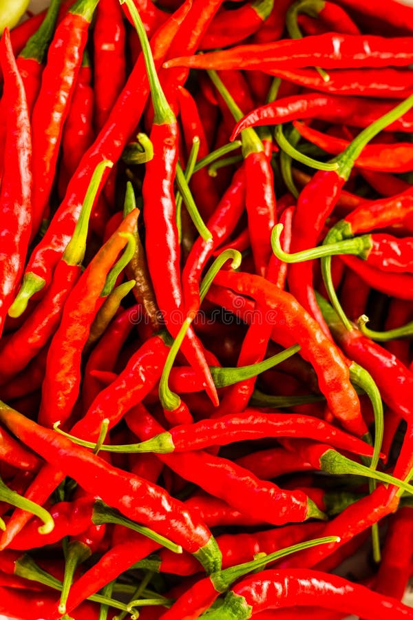 Red hot chilli stock image. Image of country, black, chilli - 27135937