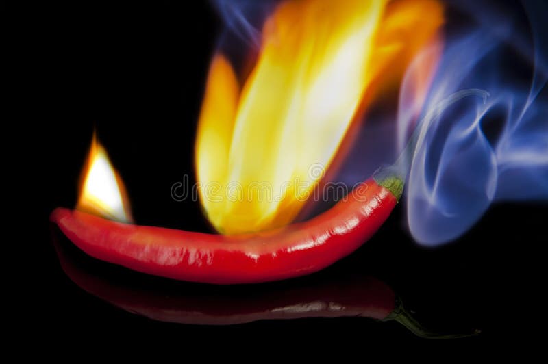 Red Hot Chilli Pepper with Flame Stock Image - Image of flame, healthy ...