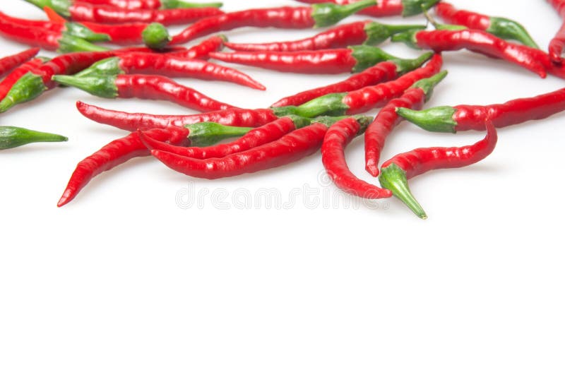 Red hot chilli peppers stock photo. Image of fresh, flavoring - 21067916
