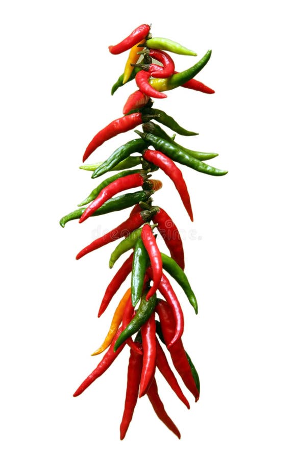 Red hot chilli peppers stock photo. Image of healthy, cook - 2730078