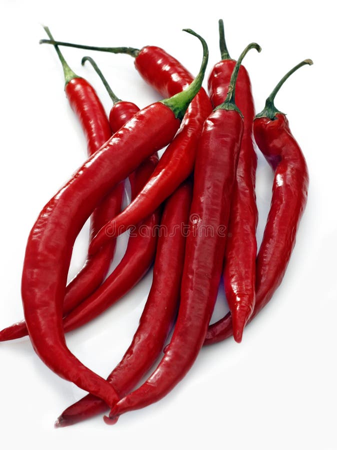 Red hot chilli peppers stock photo. Image of grow, isolated - 9734098