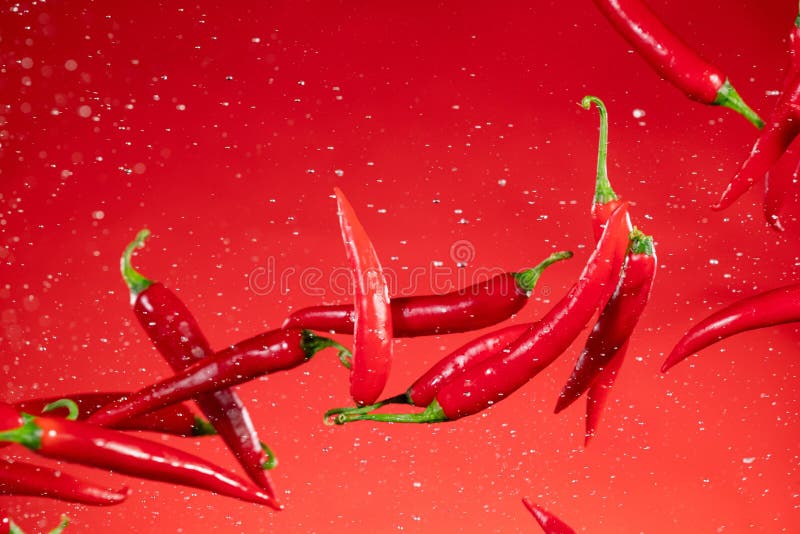 Red chilli stock photo. Image of reflection, flavoring - 21094402