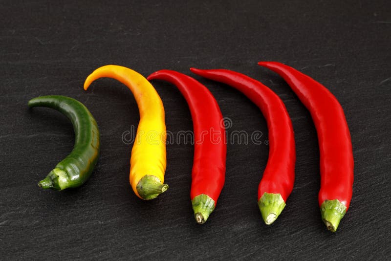 Hot chilli peppers stock photo. Image of fresh, spicy - 140995860