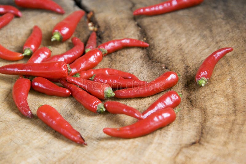 Red Hot Chillies stock image. Image of sauces, ingredient - 10805101