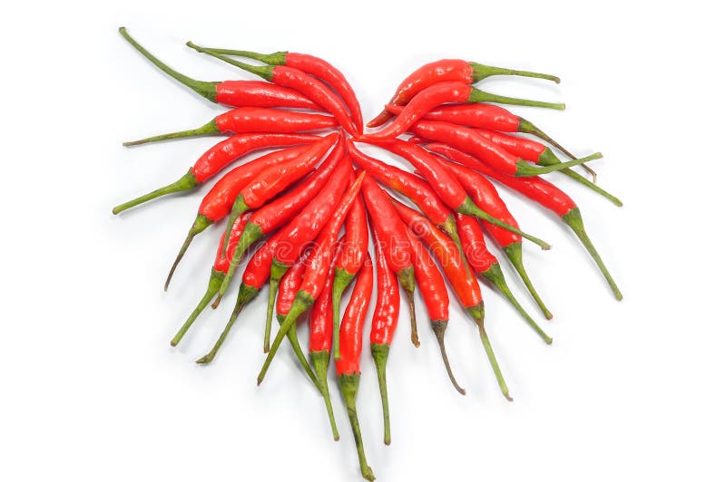 Red hot chillis stock photo. Image of mexican, closeup - 30198730