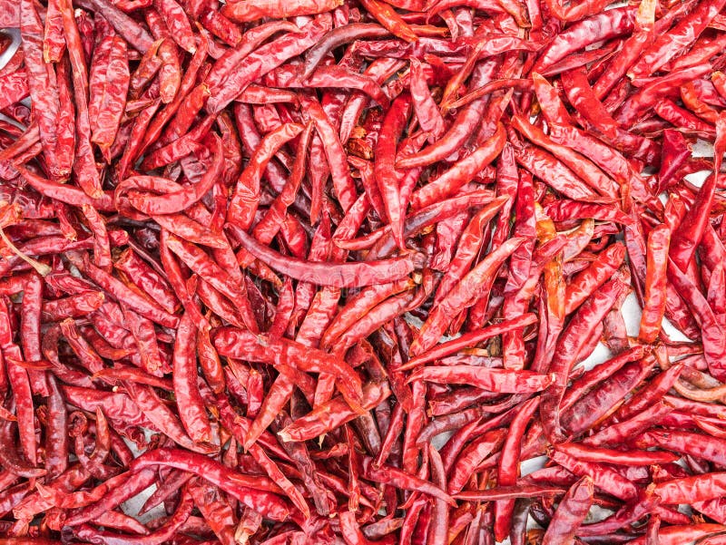Red Hot Chilly Peper Background Stock Photo - Image of healthy ...