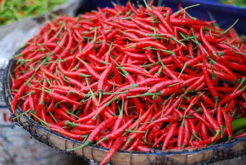 Red hot chilly peppers stock photo. Image of heap, mexican - 13615558