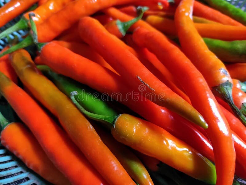 Red Hot Orange Colored Chillies Ready To Be Served Stock Photo - Image ...