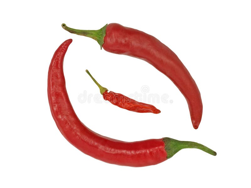 Red hot pepper. stock photo. Image of bitter, meal, natural - 16176026