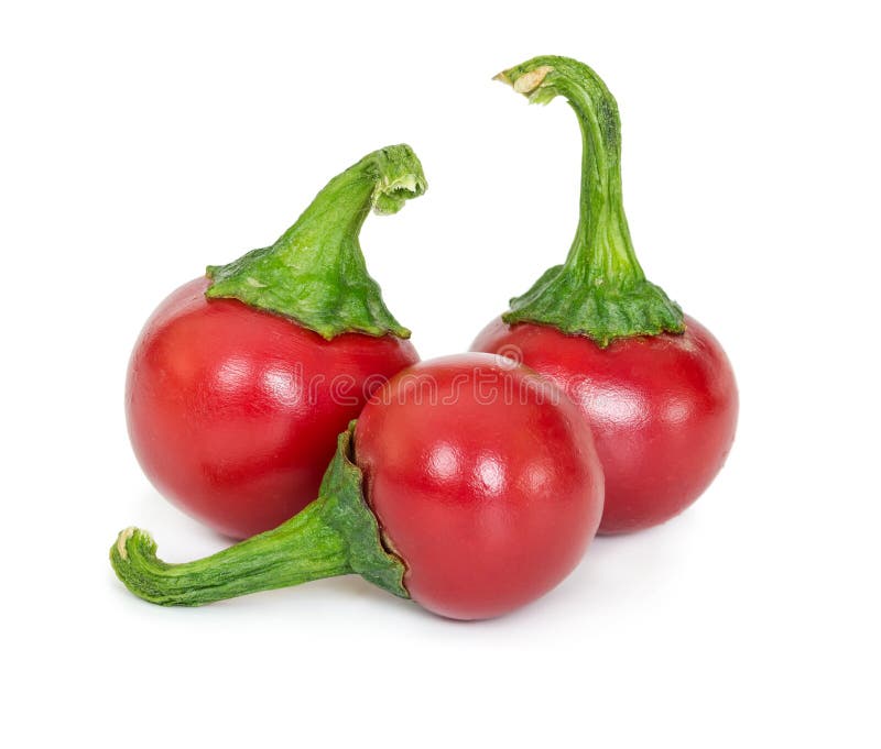 Red Hot Round Chilli Pepper Stock Photo - Image of pepper, seasoning ...