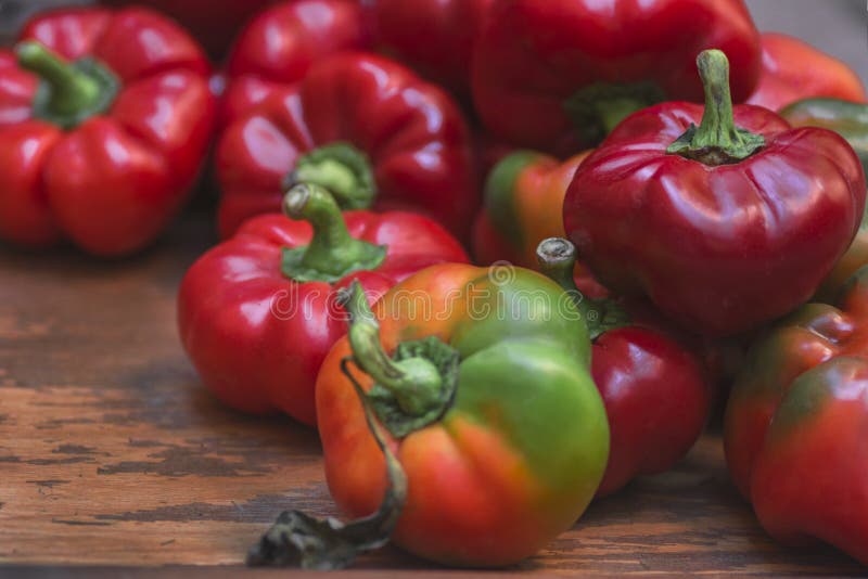 2,733 Round Hot Pepper Plant Photos - Free & Royalty-Free Stock Photos ...