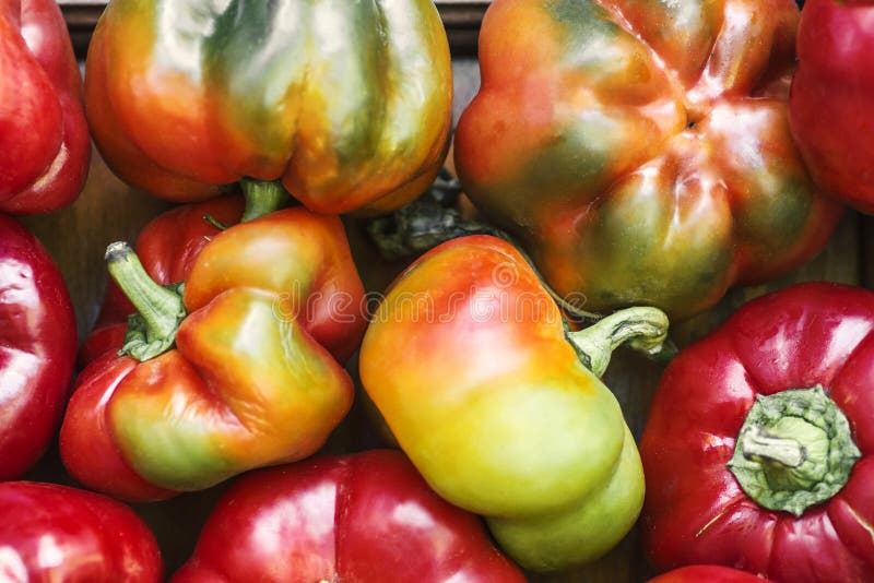 2,733 Round Hot Pepper Plant Photos - Free & Royalty-Free Stock Photos ...