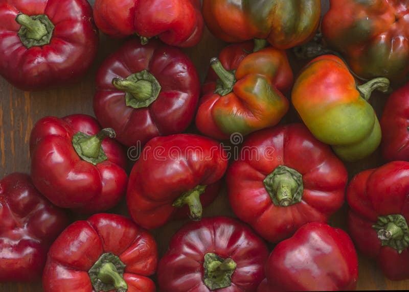 2,952 Round Hot Pepper Plant Stock Photos - Free & Royalty-Free Stock ...