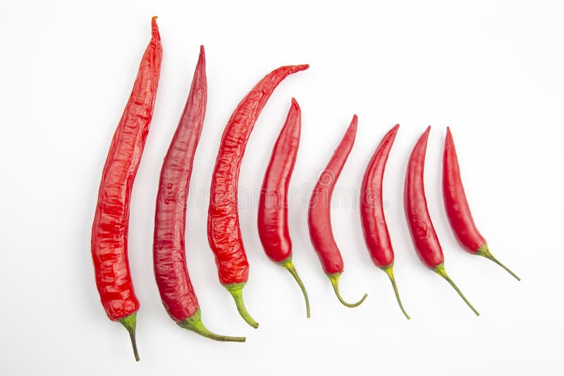 Red Hot Pepper on a White Background. Spices and Vegetative Food Stock ...