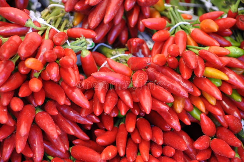 Bundles of Chili Pepper and Garlic Stock Photo - Image of cuisine ...