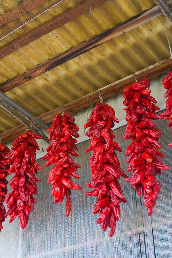 Red Hot Peppers Hanging on the Wall. Stock Photo - Image of perspective ...
