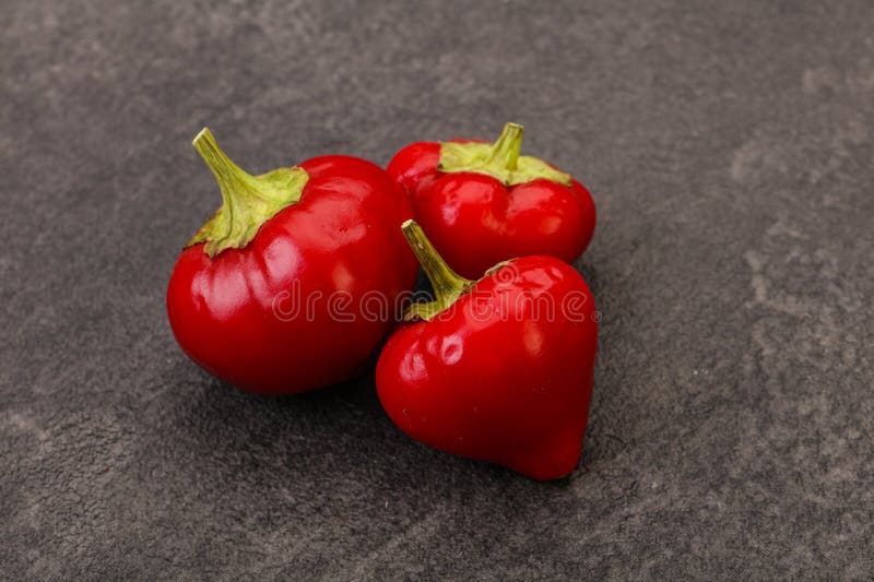 Red Hot Spicy Cherry Pepper Stock Photo - Image of ripe, nature: 228417278