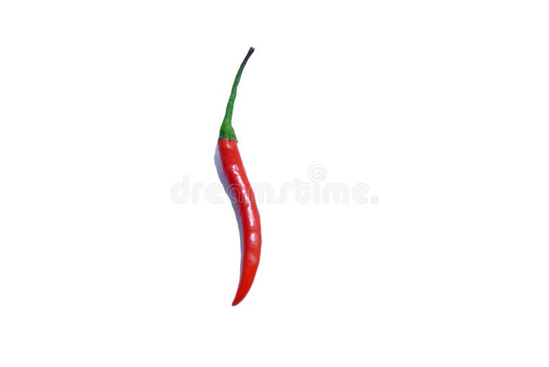 Red Hot Chilli ,tropical Herbs Plants Ingredient of Thai Food Menu ,Som ...