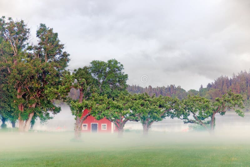 Red house in fog stock photo. Image of shore, wooden - 13296458