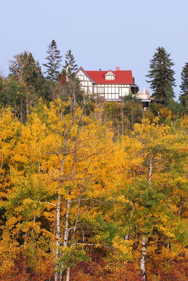 Red house in forest stock photo. Image of forest, cityscape - 7073968