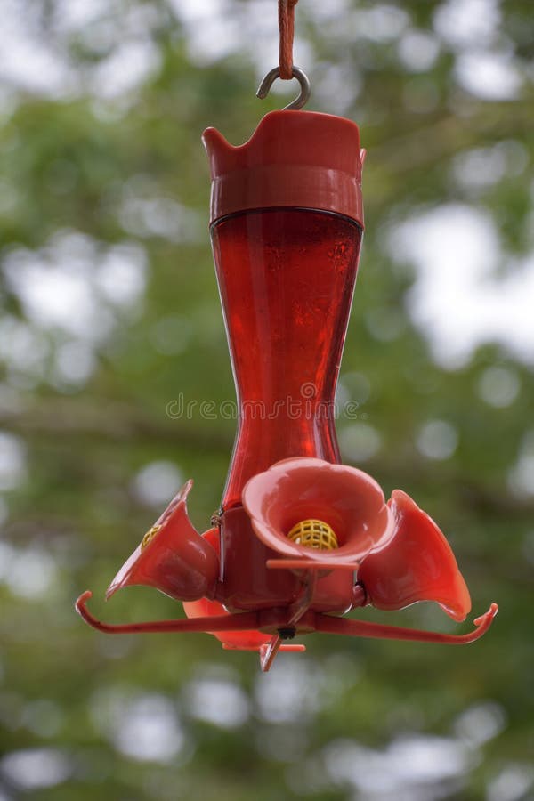 Close Up of a Red Hummingbird Feeder Stock Photo - Image of hummers ...