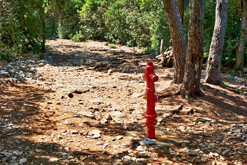 Red hydrant stock photo. Image of colored, plant, trunk - 127907184
