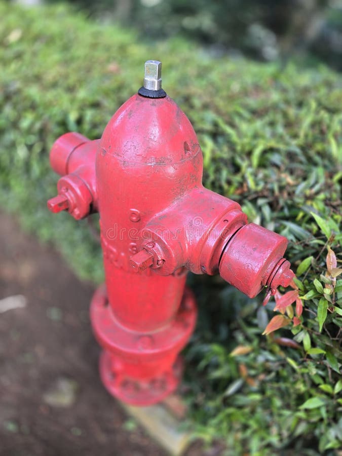 Red Hydrant at the Green Grass Garden Stock Image - Image of grass ...