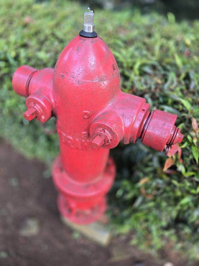Red Hydrant at the Green Grass Garden Stock Image - Image of grass ...