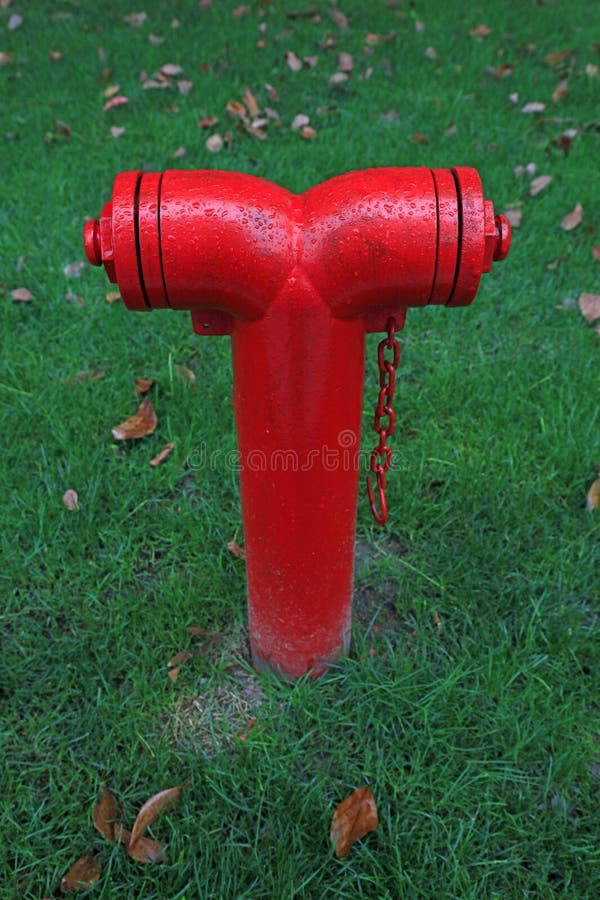 Red hydrant in green grass stock image. Image of fountain - 390133355