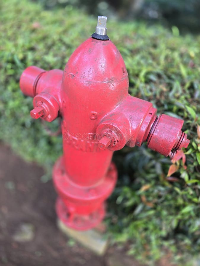 Red Hydrant at the Green Grass Garden Stock Photo - Image of hydrant ...