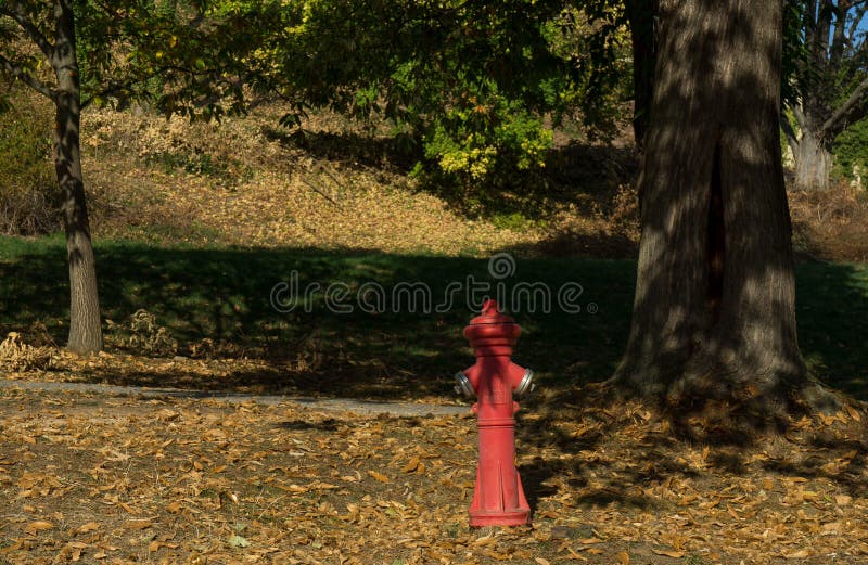 Red hydrant at some trees stock photo. Image of autumn - 142532012