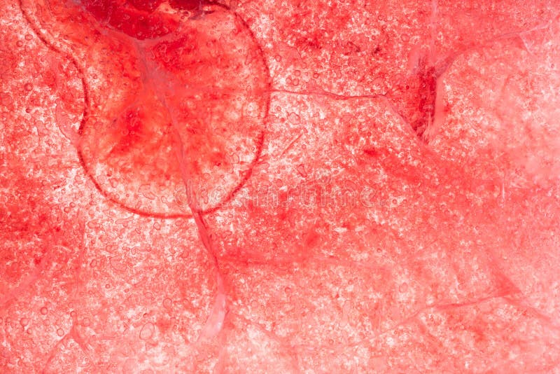 Red ice background stock image. Image of closeup, solid - 62063087
