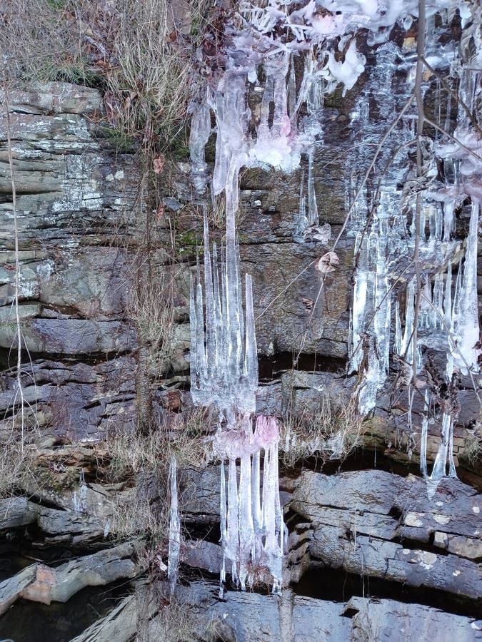 Red icicles on stock image. Image of rock, tree, nature - 253508567