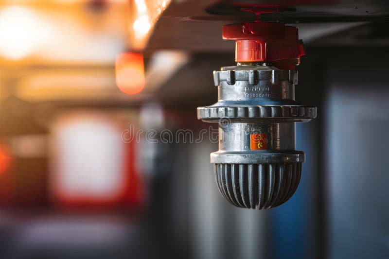 Red Indicator Fire Sprinkler Head on Blurred Background Emphasizes ...