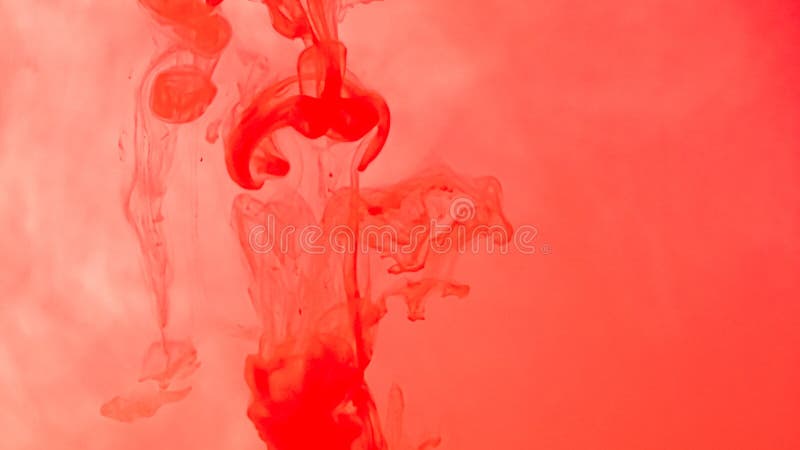 Red Ink Drop in Water on White Background. Watercolor Paint Splash ...