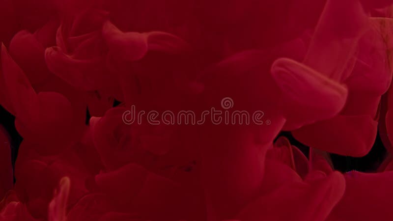 Red ink splash stock video. Video of color, swirl, water - 239285279