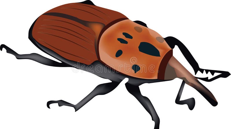 Red Insect Harmful To Palm Trees- Stock Vector - Illustration of insect ...