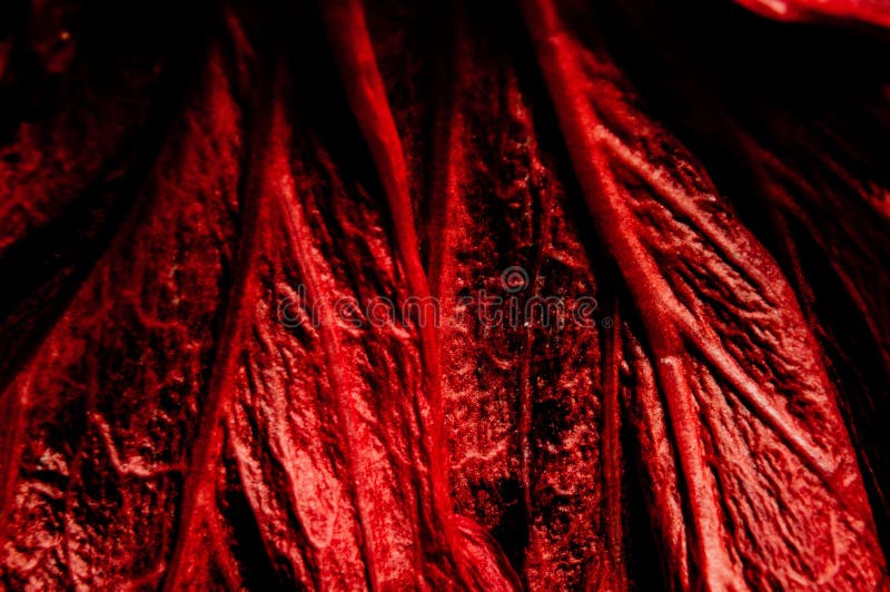 Red intense texture stock photo. Image of paint, pattern - 229555786