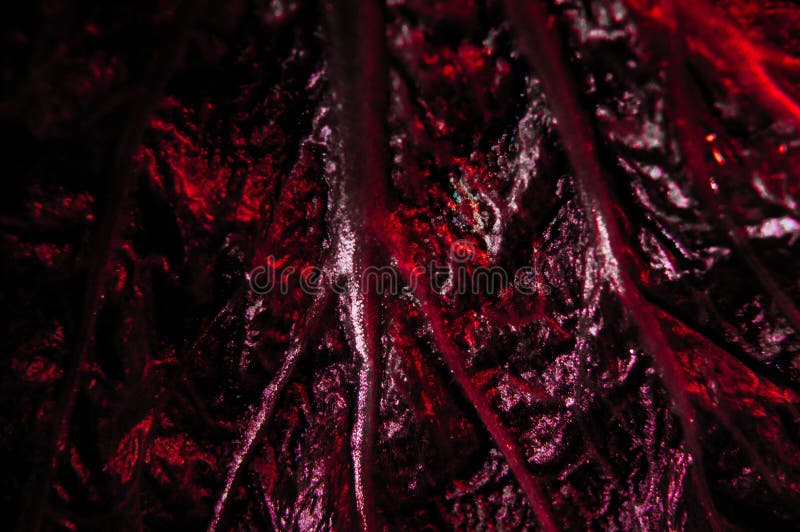 Red intense texture stock photo. Image of flower, lava - 229555564